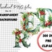 Christmas Holly Alphabet Watercolor PNG Clipart Bundle, English ...
