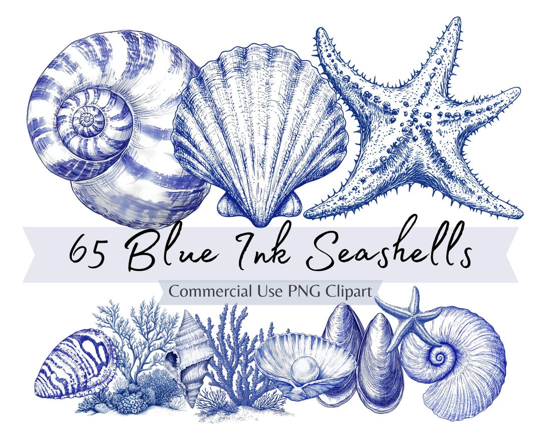 Blue Ink Seashells Clipart Bundle, Watercolor Nautical Ocean Elements ...