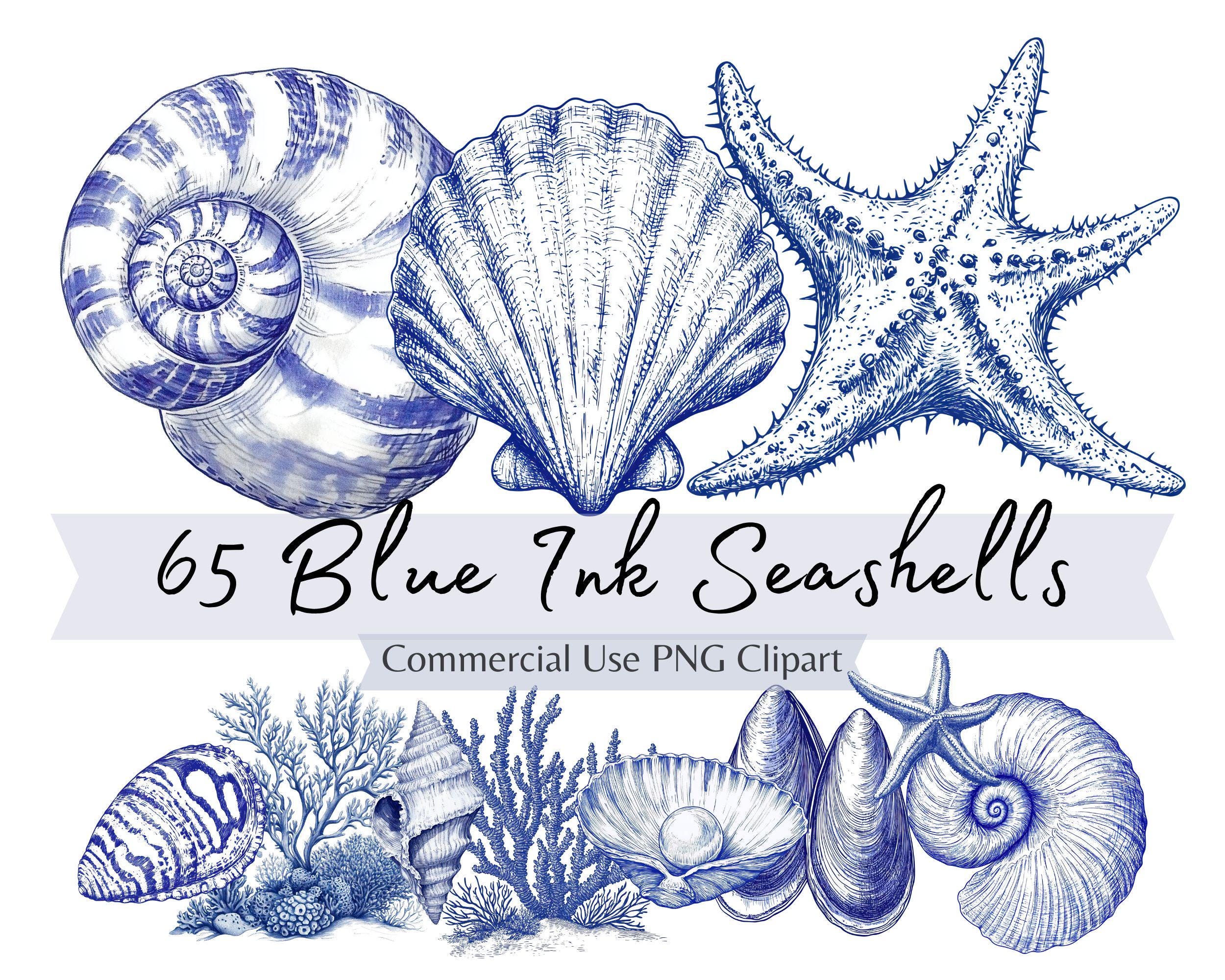 Blue Ink Seashells Clipart Bundle, Watercolor Nautical Ocean Elements ...