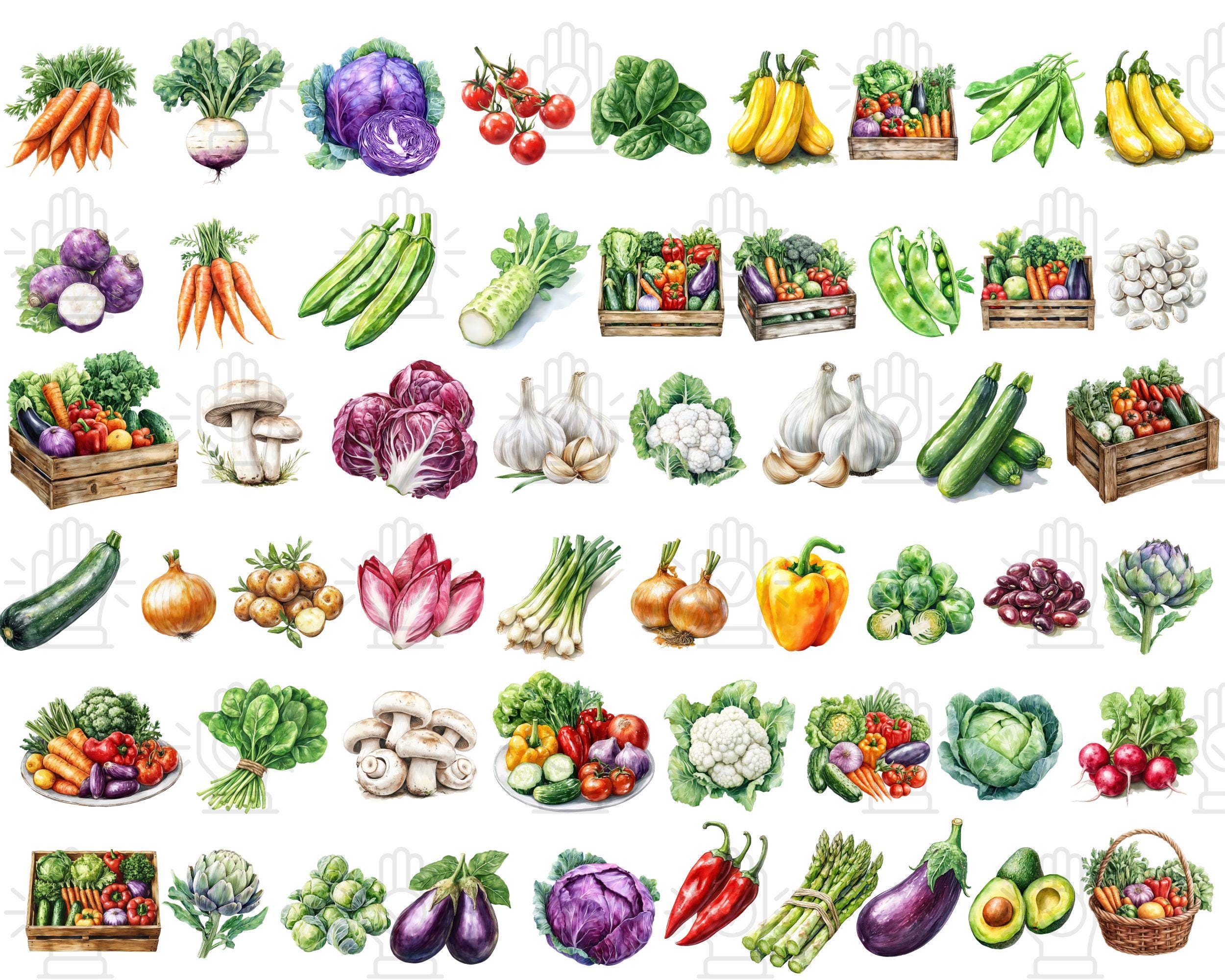 Watercolor Vegetables Clipart Bundle, Farmers Market PNG, Fresh Veggies ...