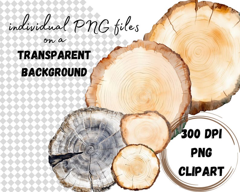 Watercolor Wood Slices Clipart, Rustic Tree Ring PNG, Forest Tree Cross ...