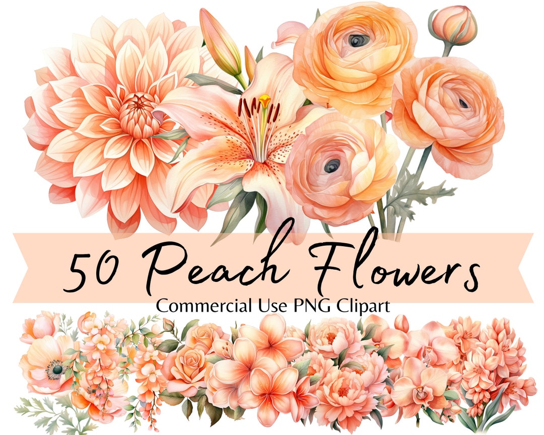 Watercolor Peach Flowers Clipart, Peach Floral Bouquet Arrangements ...