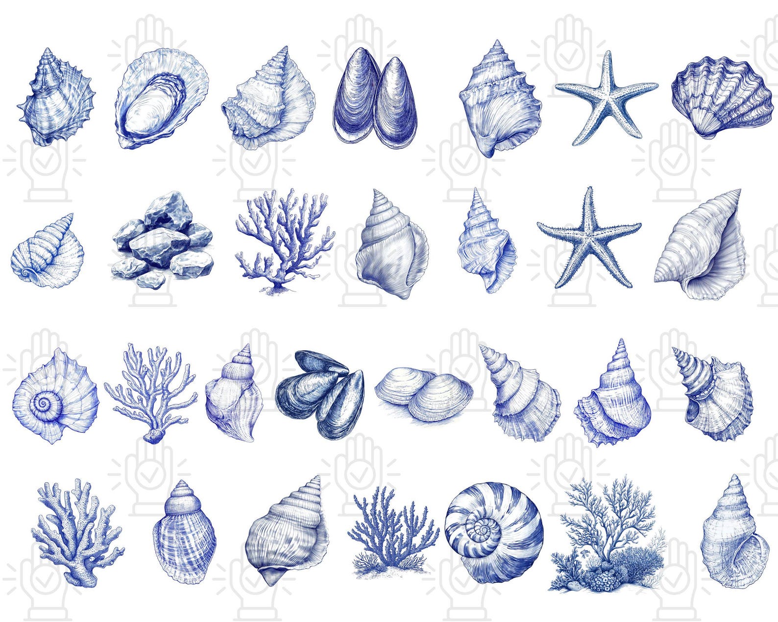 Blue Ink Seashells Clipart Bundle, Watercolor Nautical Ocean Elements ...