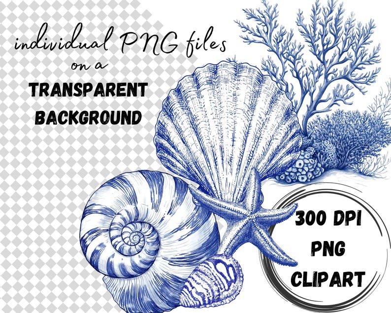 Blue Ink Seashells Clipart Bundle, Watercolor Nautical Ocean Elements ...