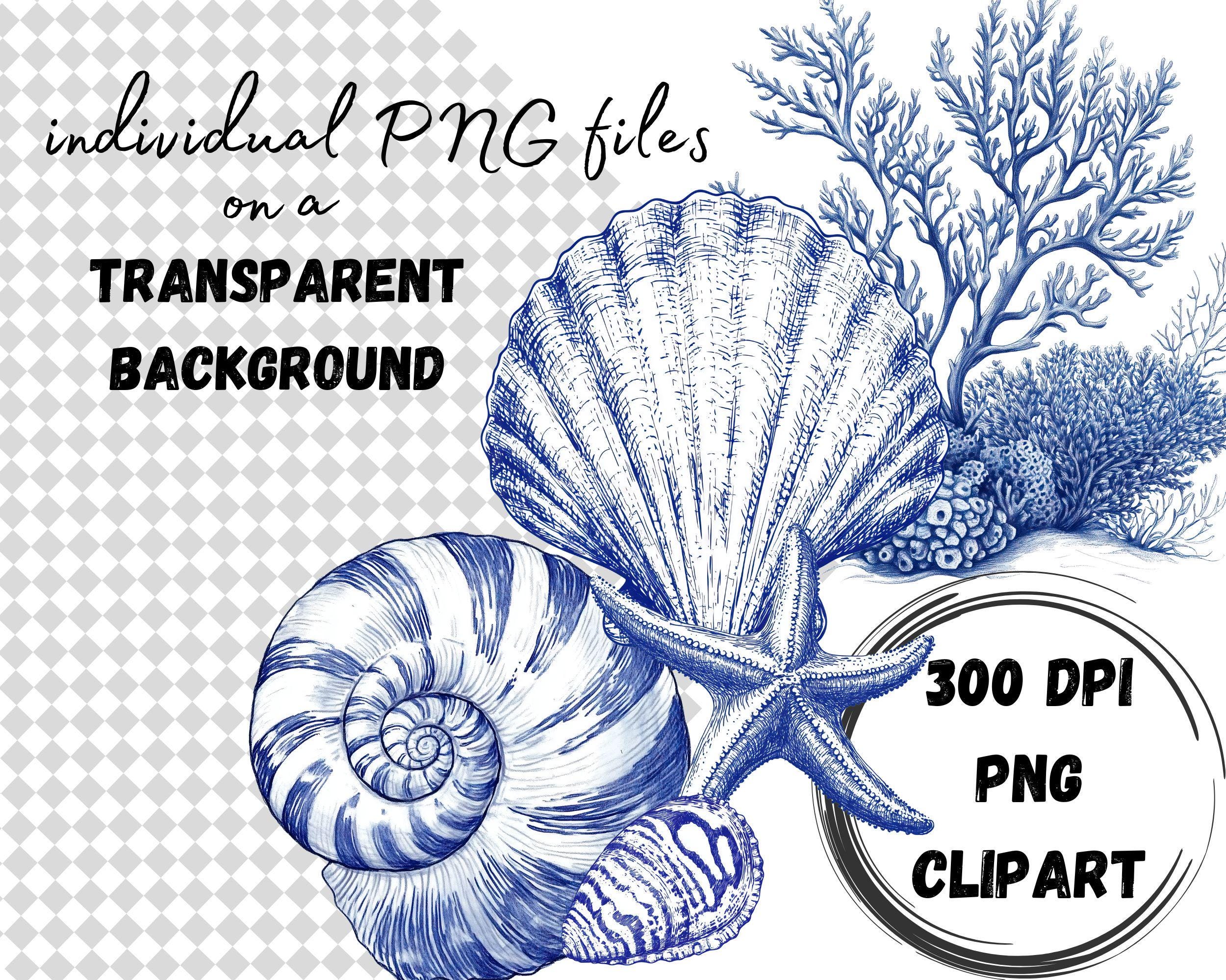 Blue Ink Seashells Clipart Bundle, Watercolor Nautical Ocean Elements ...