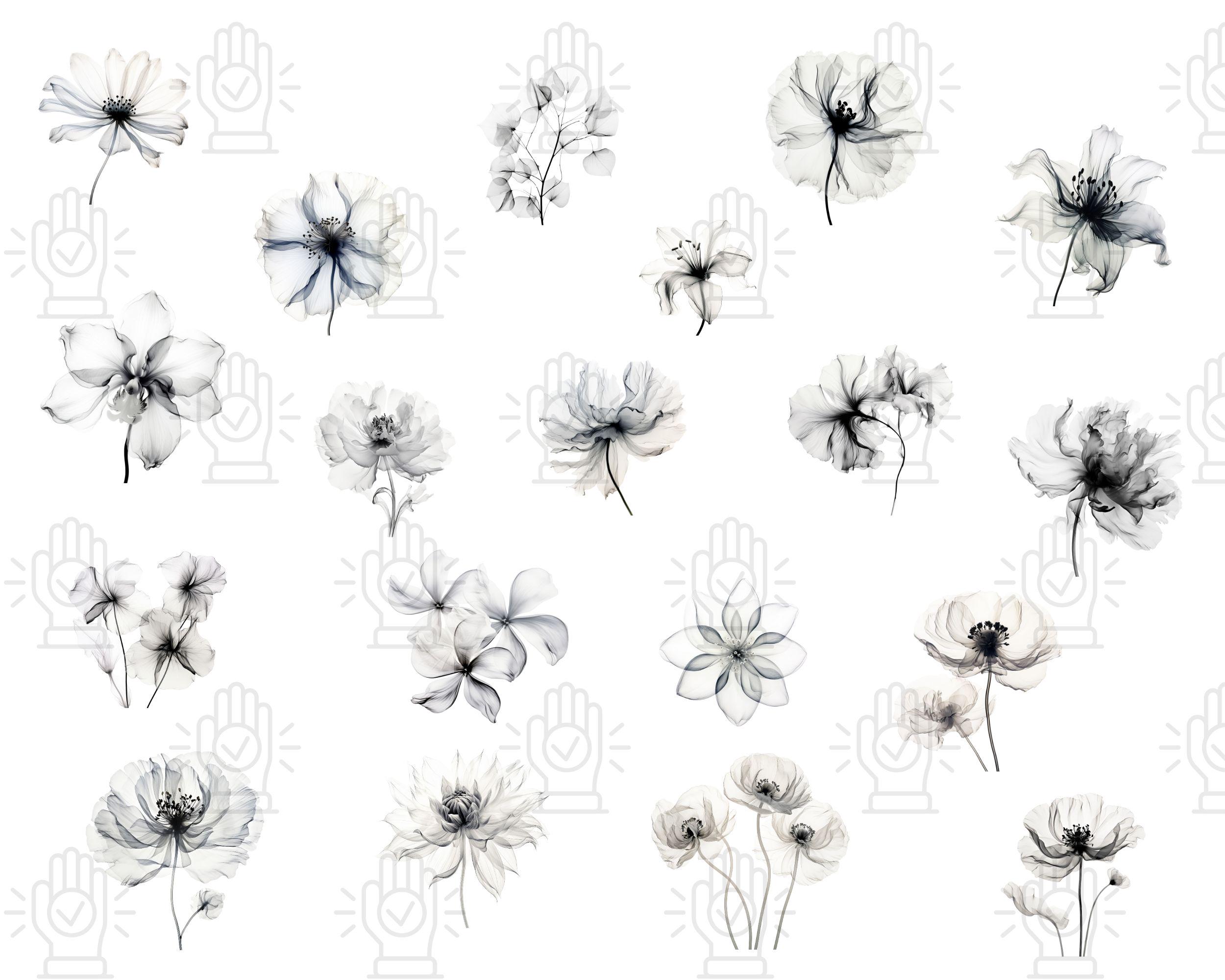 Translucent Abstract Watercolor Clipart Flowers, Ethereal Black and ...
