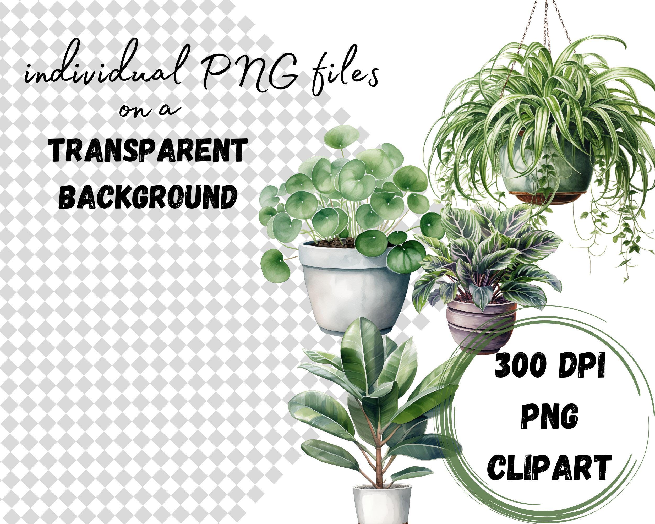 Watercolor Potted House Plants Clipart, Greenery and Foliage PNG Indoor ...