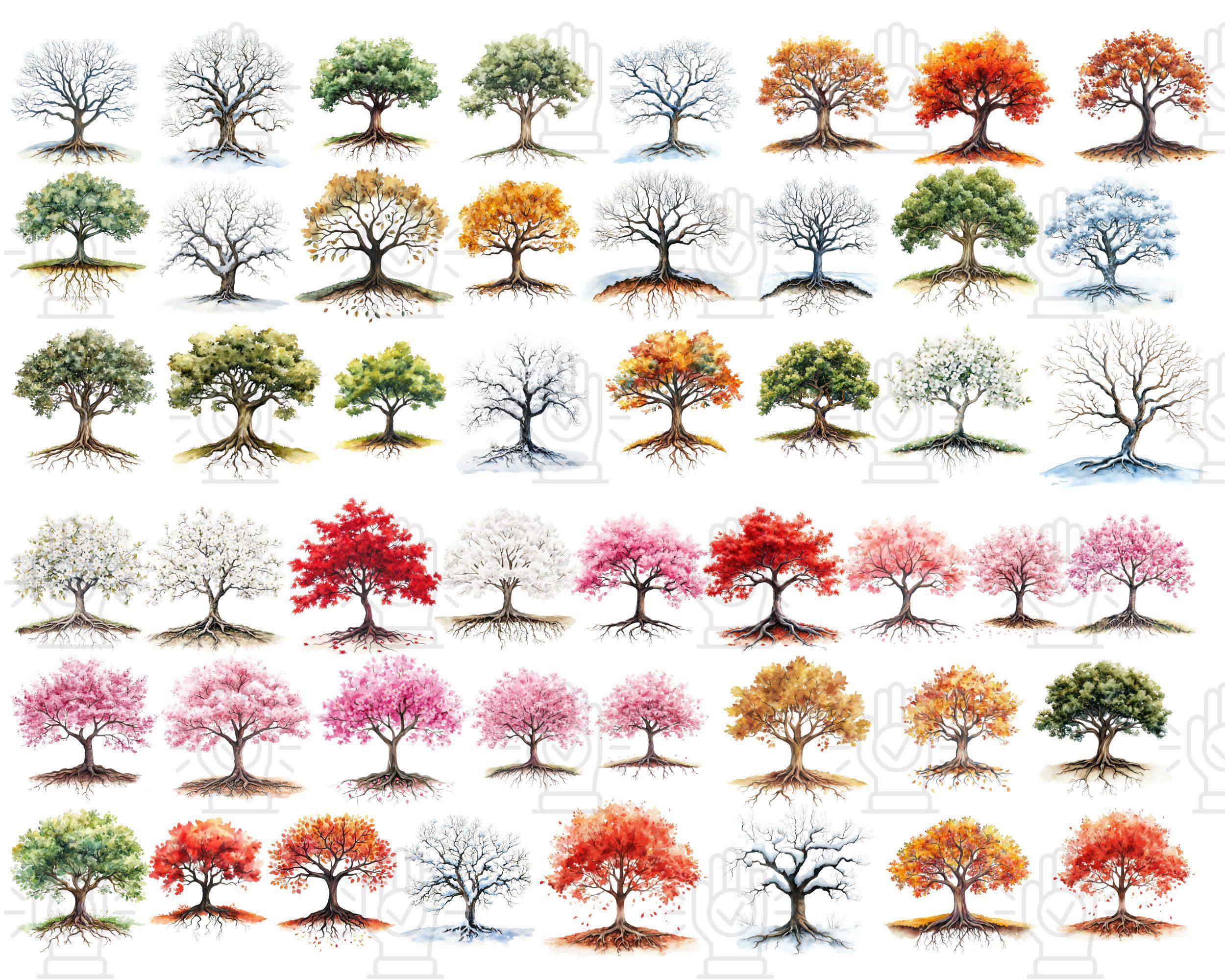 Watercolor Trees and Roots Clipart, Mystical, Generational, Family ...