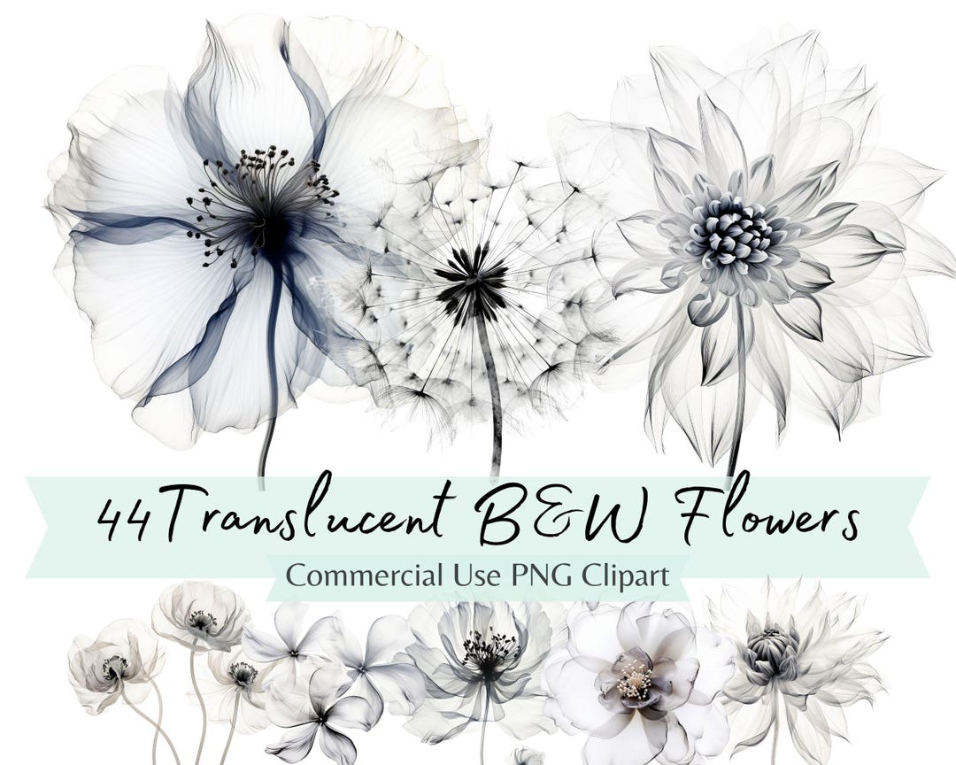 Translucent Abstract Watercolor Clipart Flowers, Ethereal Black and ...
