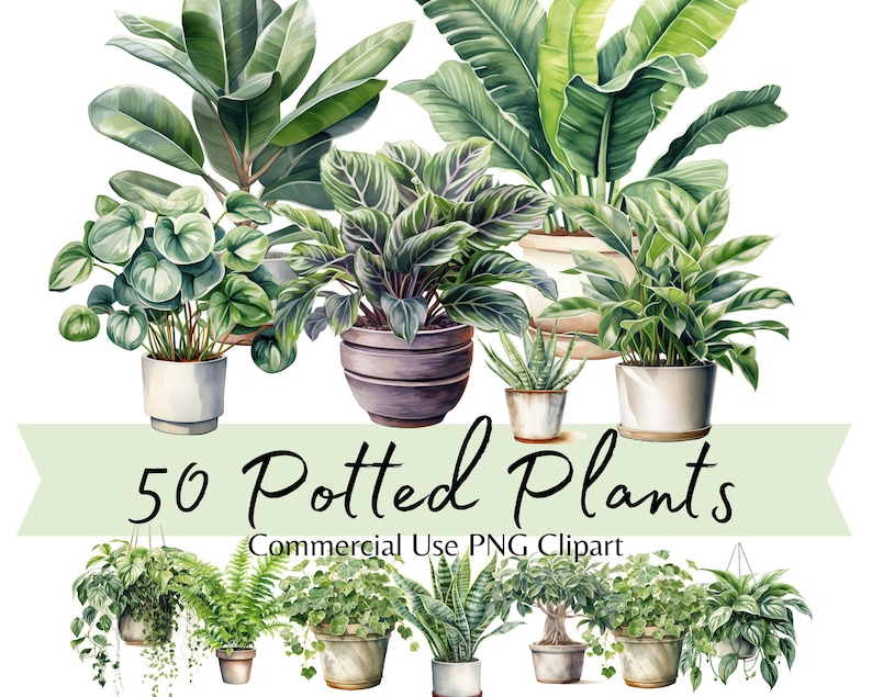 Watercolor Potted House Plants Clipart, Greenery and Foliage PNG Indoor ...