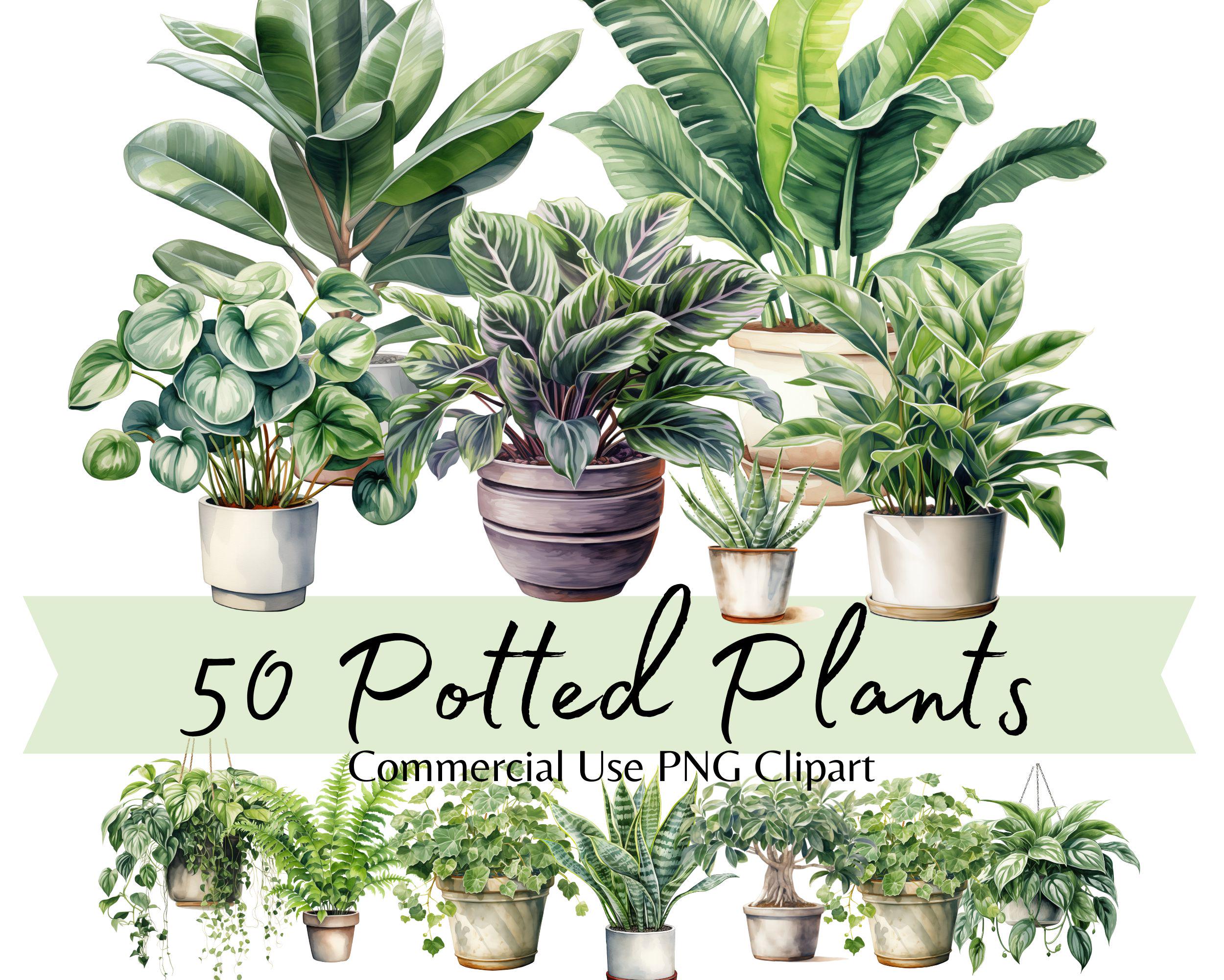 Watercolor Potted House Plants Clipart, Greenery and Foliage PNG Indoor ...