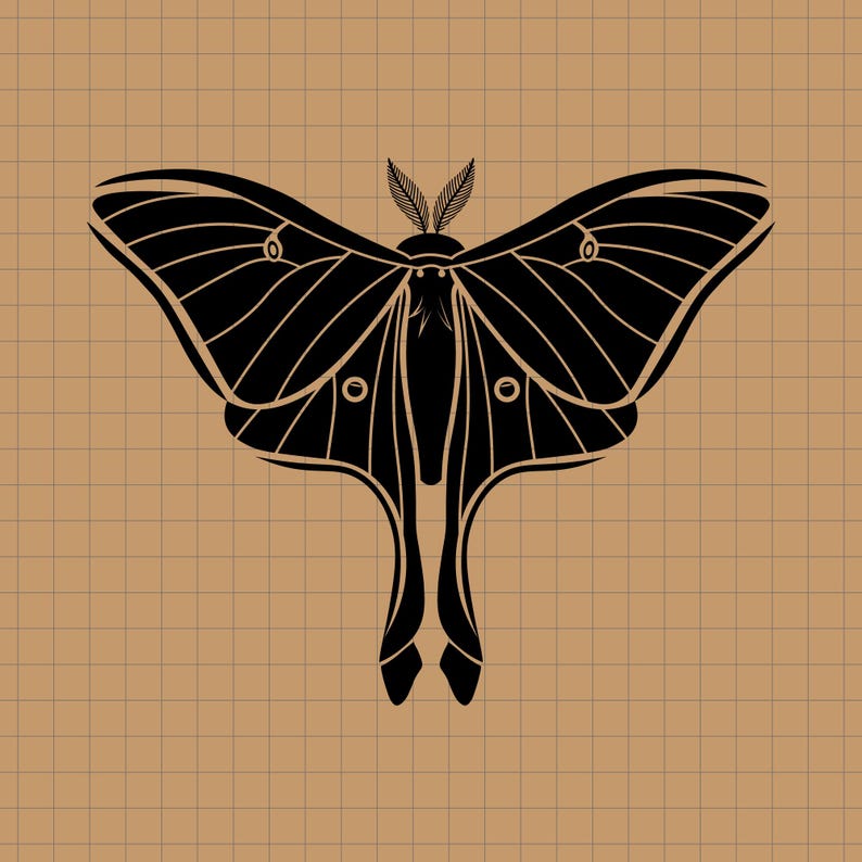 Luna Moth Motif - SVG, AI, PNG - Etsy
