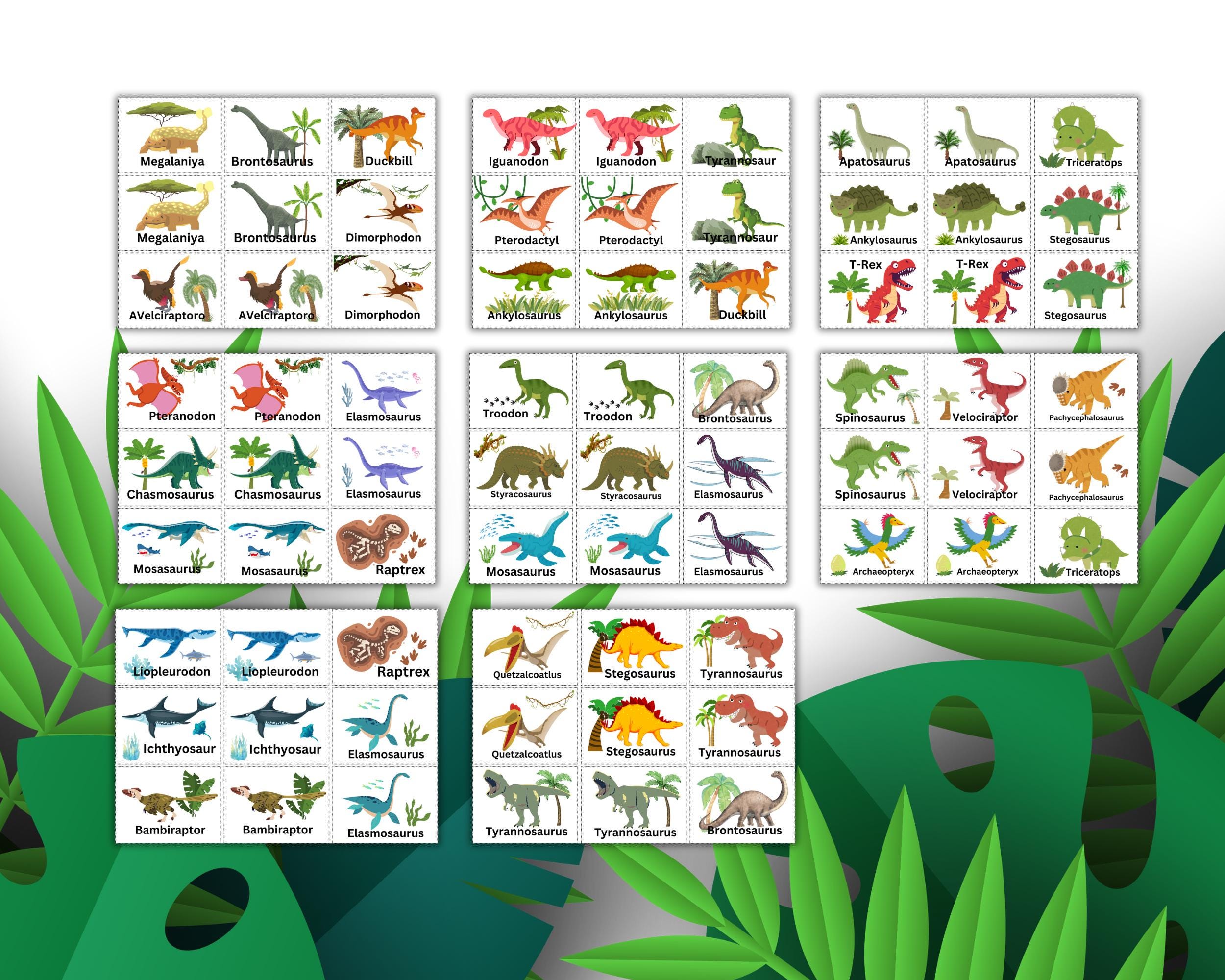 Printable Dinosaur Flash Cards for Kid's Activity, Dinosaur Memory Card ...