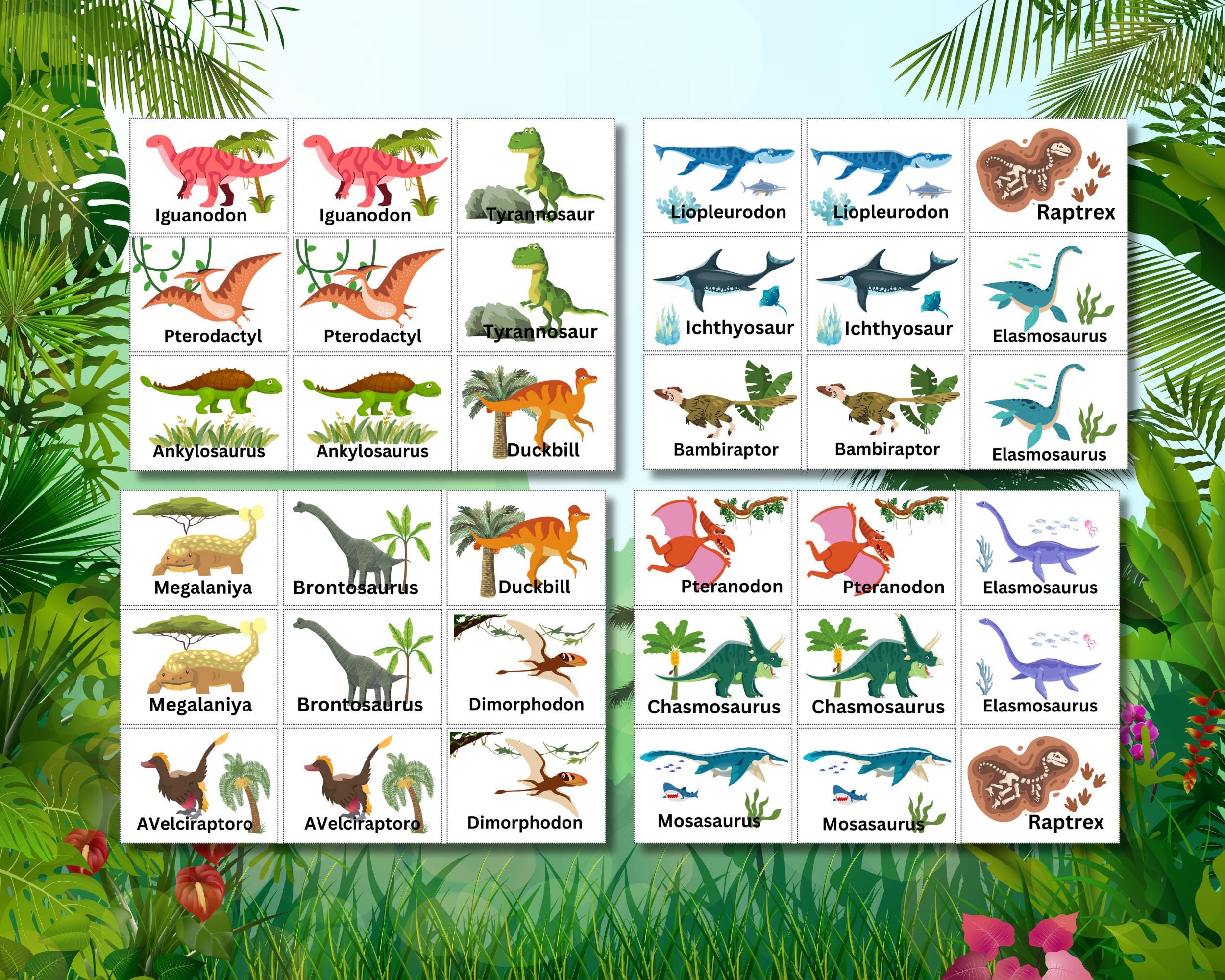 Printable Dinosaur Flash Cards for Kid's Activity, Dinosaur Memory Card ...