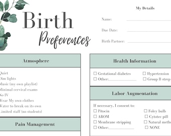 Birth Preferences Template Birth Plan Labor and Delivery Preferences ...