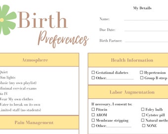 Printable and Editable Birth Plan Template Neutral Colours - Etsy