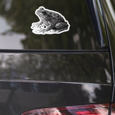 1950's Frog Vinyl Sticker Decal Water Bottles, Laptops, and Notebooks ...