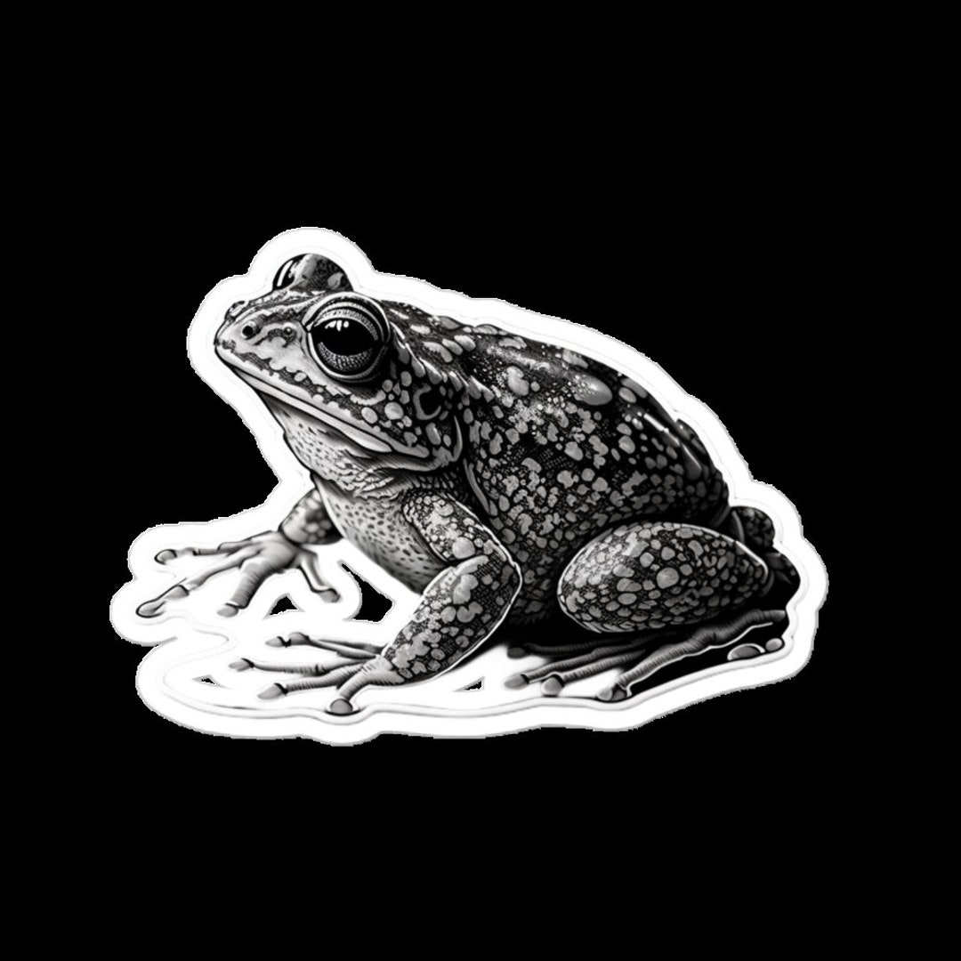 1950's Frog Vinyl Sticker Decal | Water Bottles, Laptops, and Notebooks ...