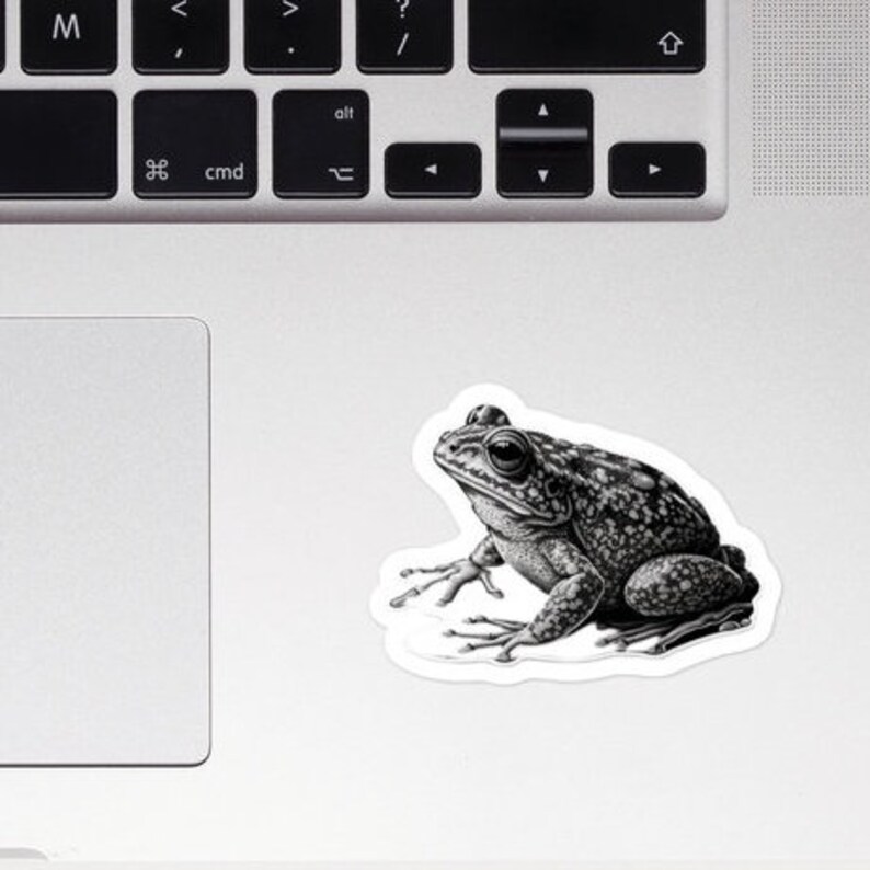 1950's Frog Vinyl Sticker Decal Water Bottles, Laptops, and Notebooks Perfect for Frog Lovers - Etsy