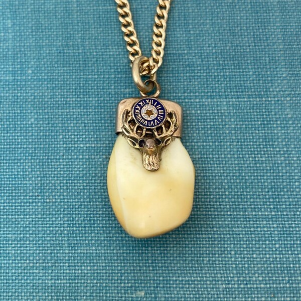 Elk Teeth - Etsy