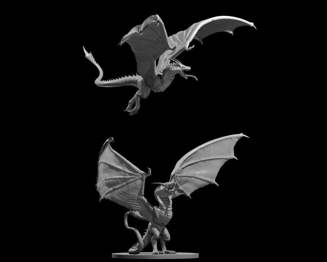 Wyvern Miniature for Dnd Pathfinder and Other Ttrpgs - Etsy