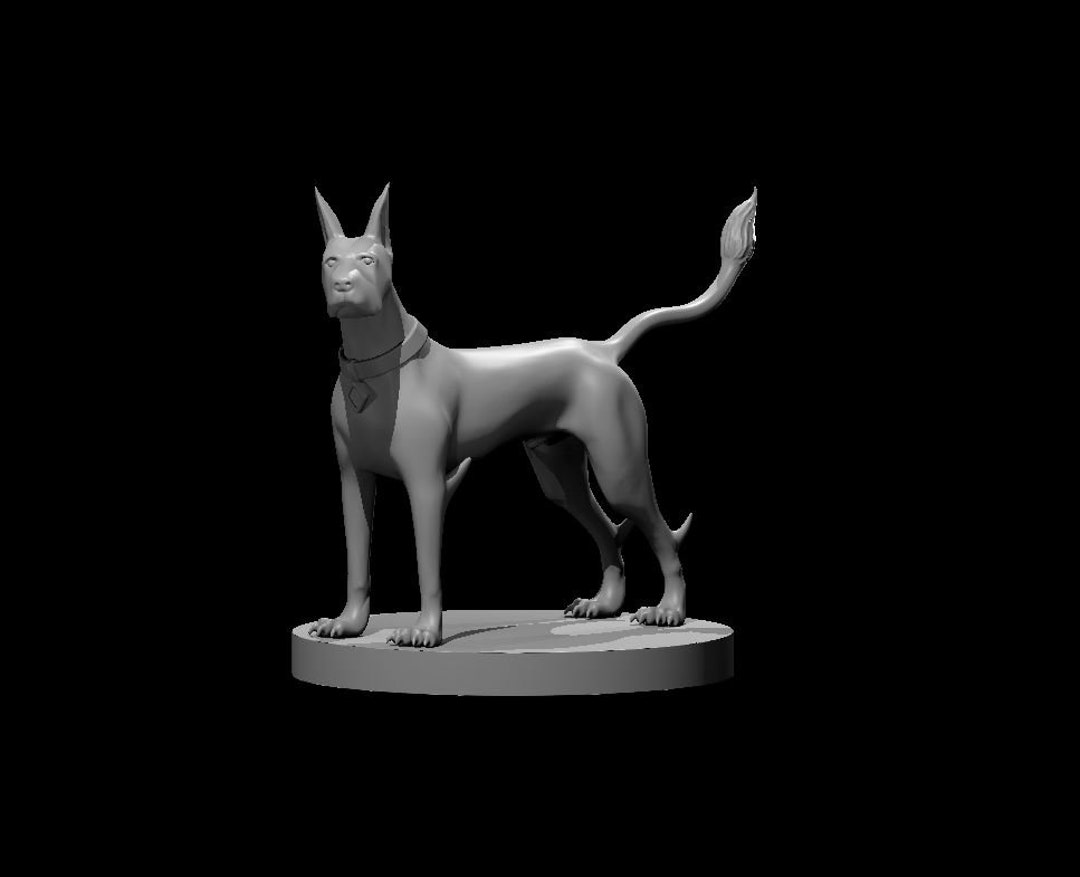 Blink Dog Miniature for Dnd Pathfinder and Other Ttrpgs - Etsy