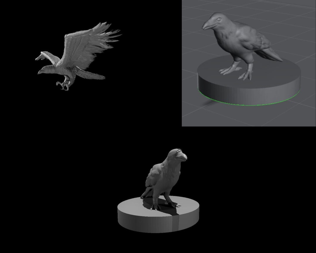 Raven Miniature for Dnd Pathfinder and Other Ttrpgs - Etsy