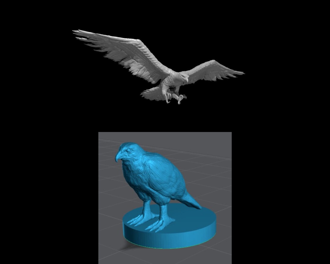 Hawk Miniature for Dnd Pathfinder and Other Ttrpgs - Etsy