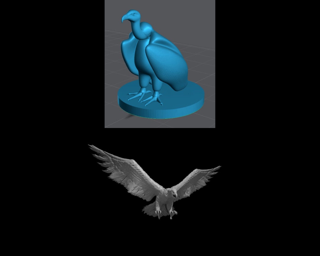 Vulture Miniature for Dnd Pathfinder and Other Ttrpgs - Etsy