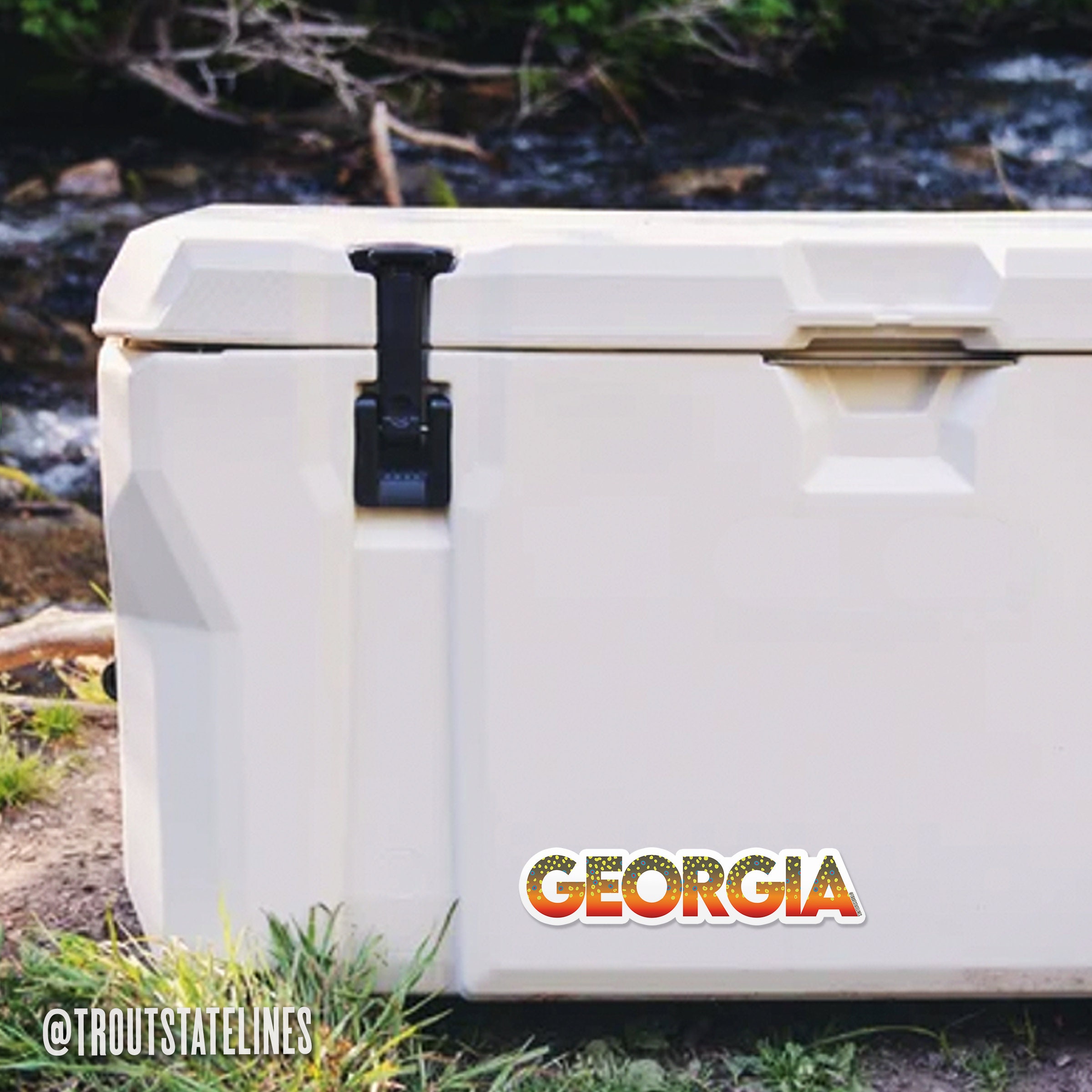 Georgia Trout Stickers 3-pack / Rainbow, Brook & Brown Trout / Fly ...