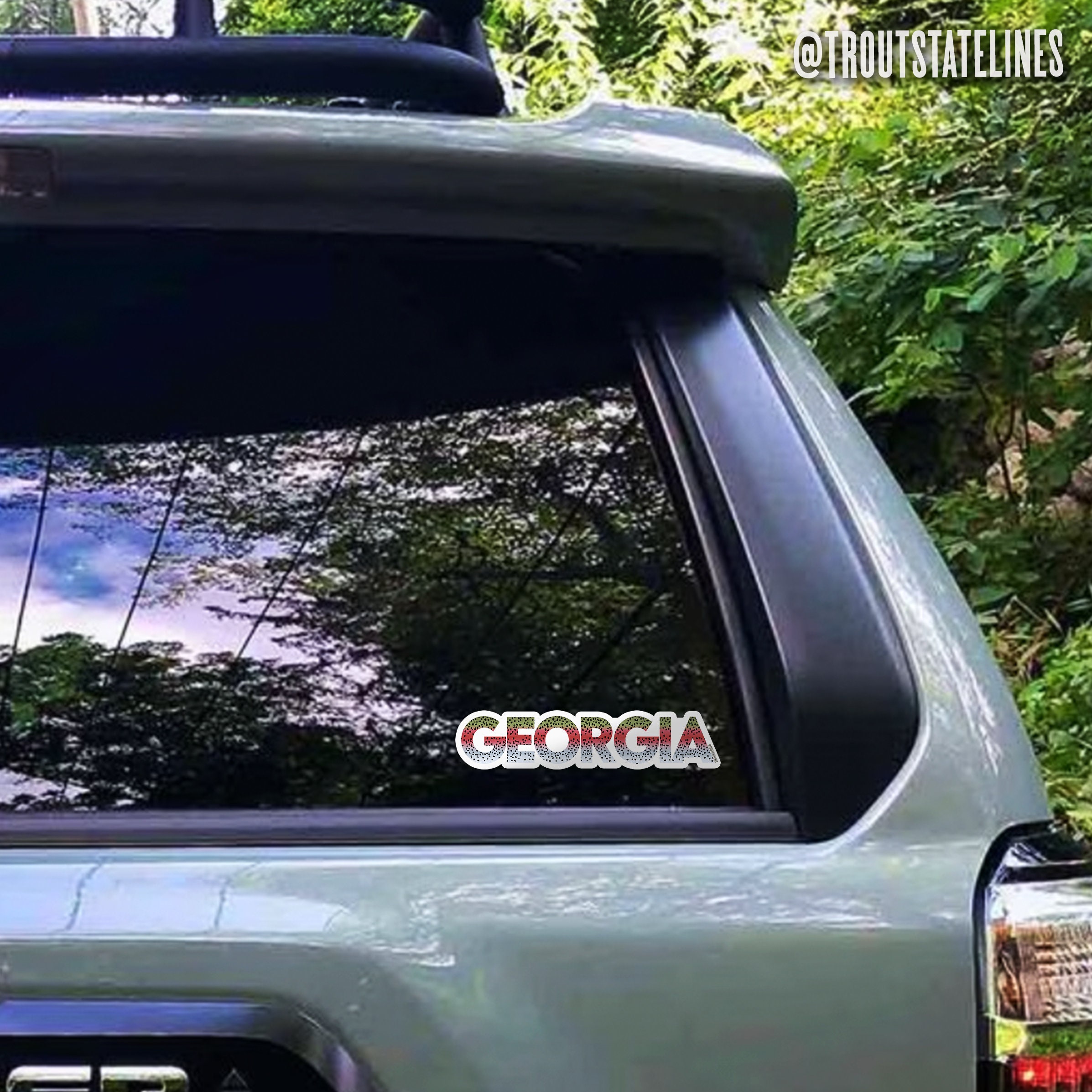 Georgia Trout Stickers 3-pack / Rainbow, Brook & Brown Trout / Fly ...