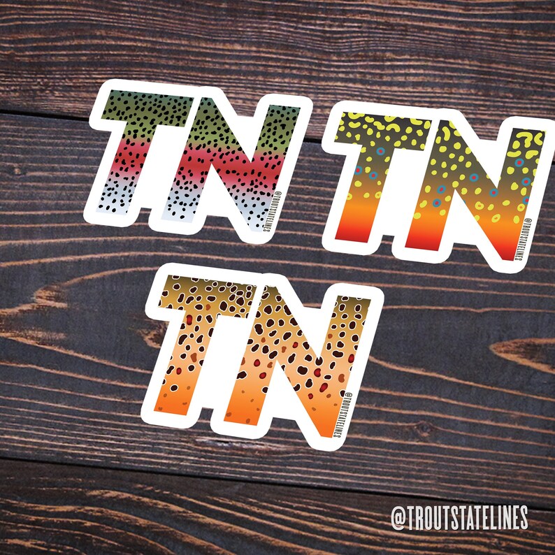 Tennessee Trout Sticker: TN Angler Destination Decal in Brook, Brown ...