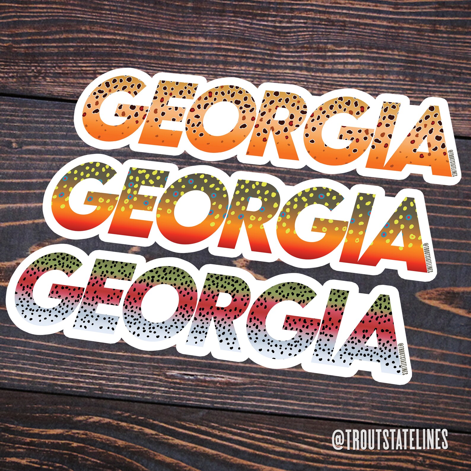 Georgia Trout Stickers 3-pack / Rainbow, Brook & Brown Trout / Fly ...