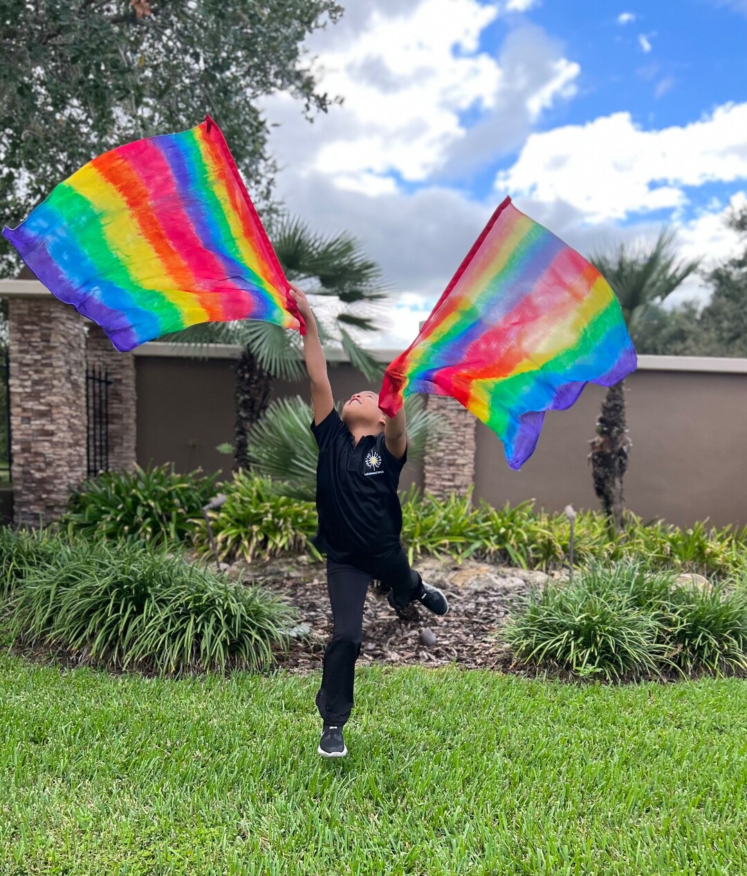 Noah and the Promise Kids Worship Flags - Etsy