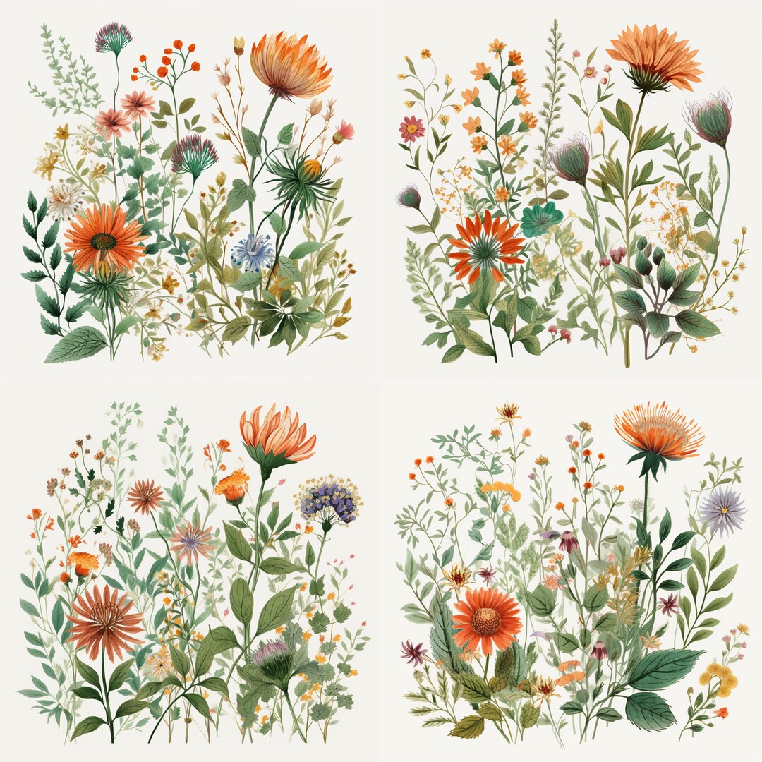 Flor silvestre svg / archivos svg para cricut / flor svg / svg bundle ...