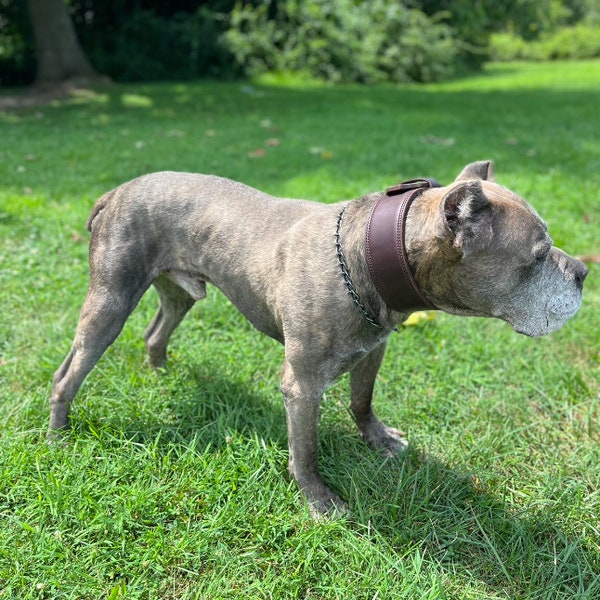 Working Dog Gear - Etsy