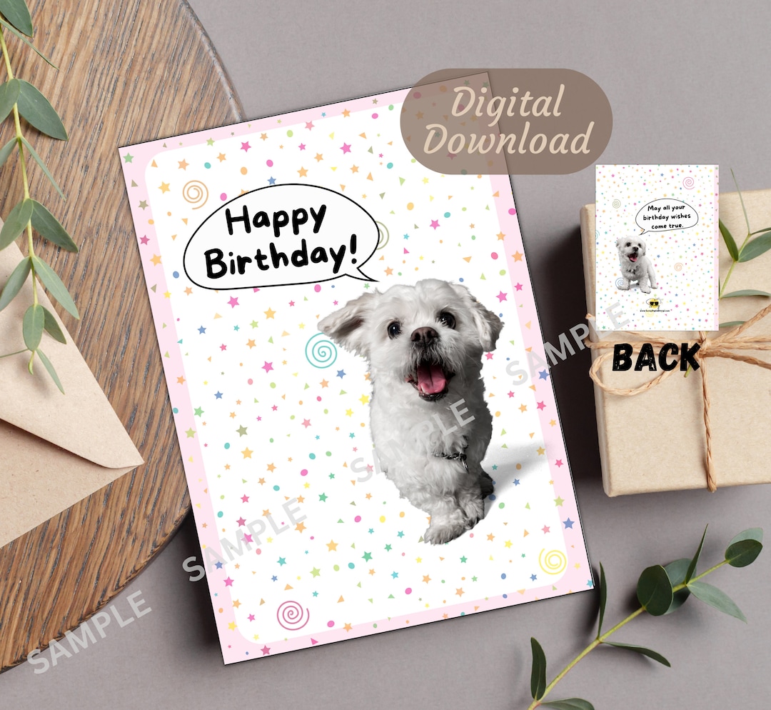 Cute Dog Birthday Card Digital Download Birthday Card - Etsy