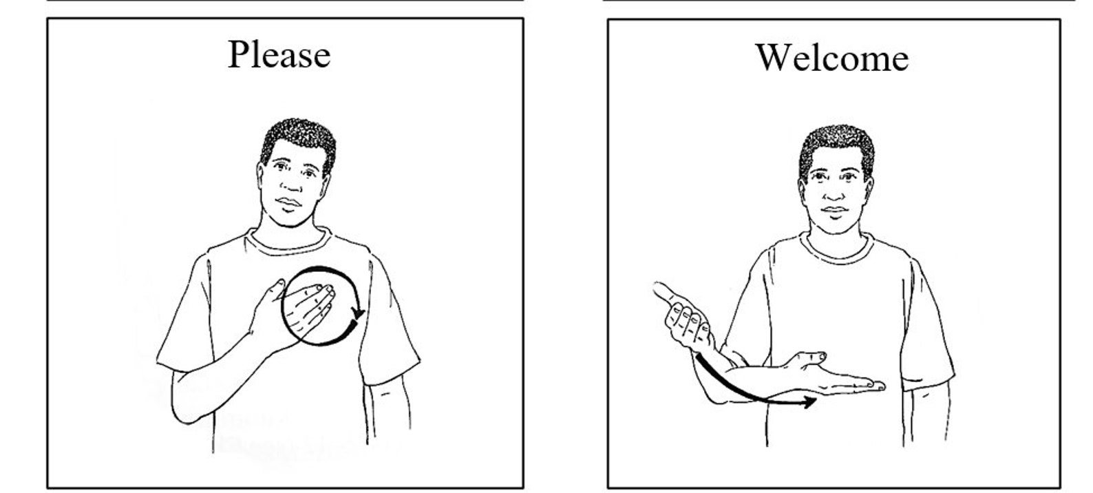 ASL Basics Cheat Sheet - Etsy