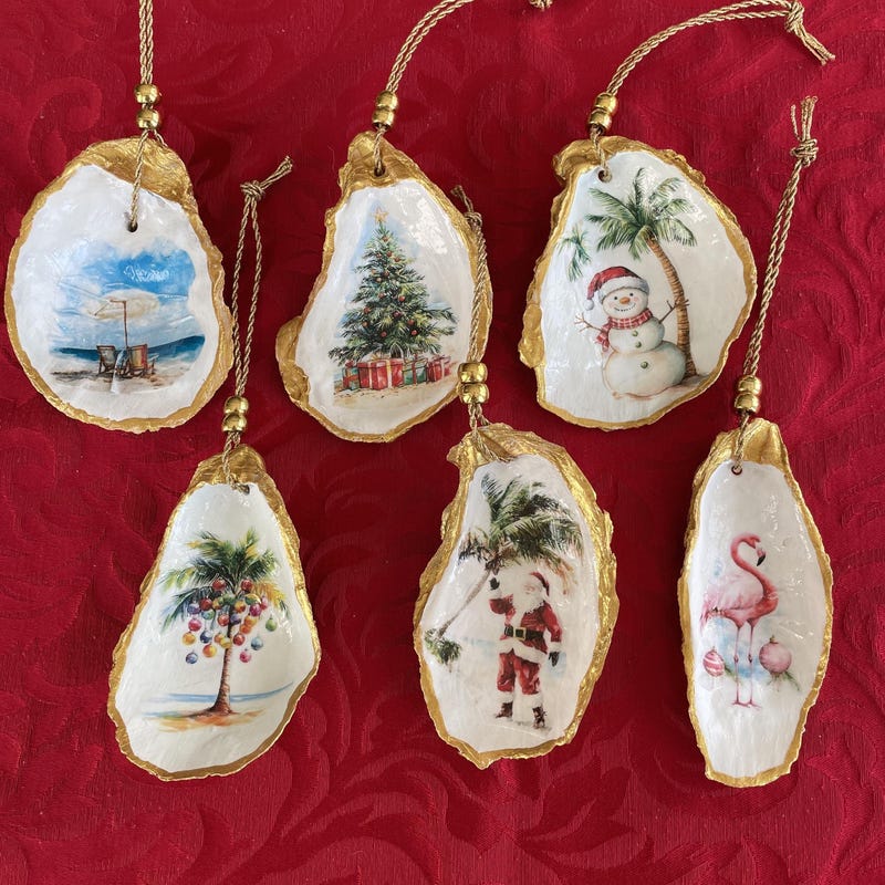 Oyster Shell W Gold - Etsy