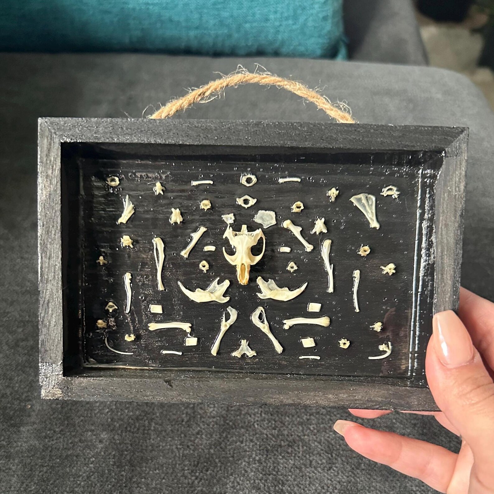 Mouse Skeleton Real Animal Bones Decorative Portrait Mouse Bones Owl ...