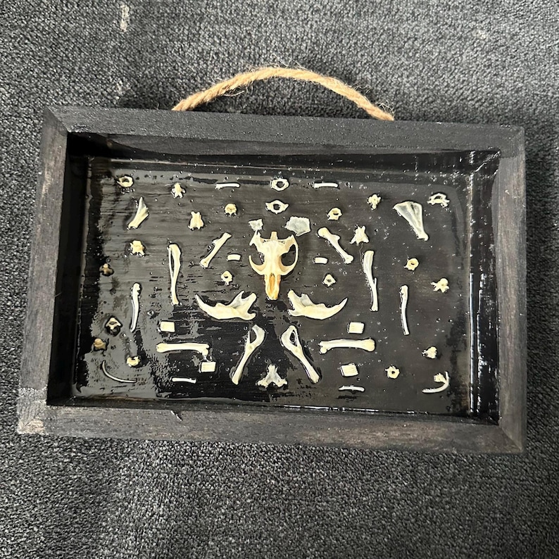 Mouse Skeleton Real Animal Bones Decorative Portrait Mouse Bones Owl ...