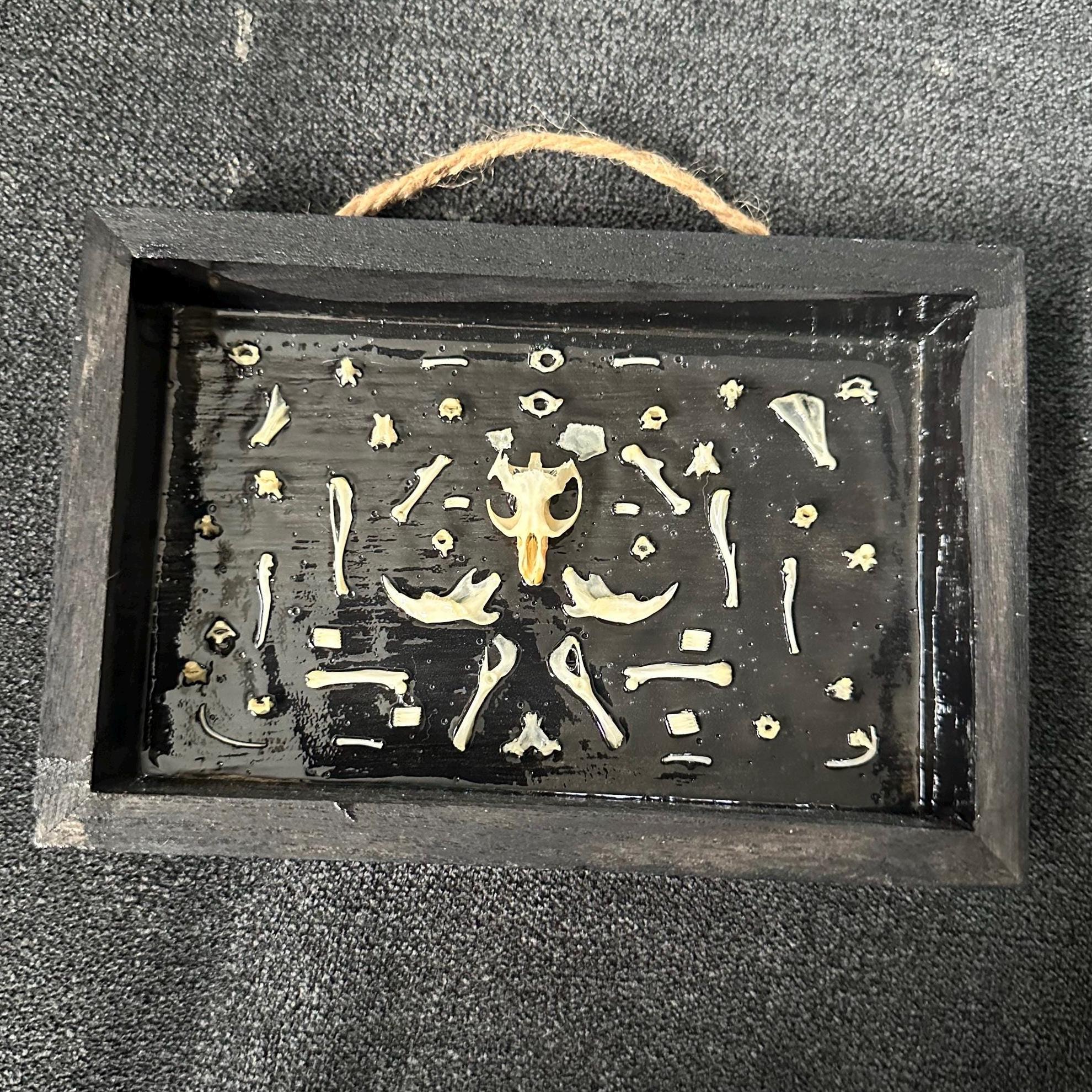 Mouse Skeleton Real Animal Bones Decorative Portrait Mouse Bones Owl Pellets Animal Decor Hand ...