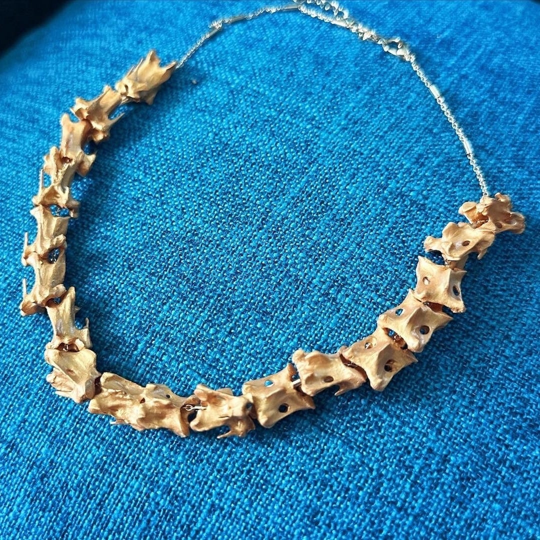 Real Animal Bones Vertebrae Necklace Hand Painted One - Etsy