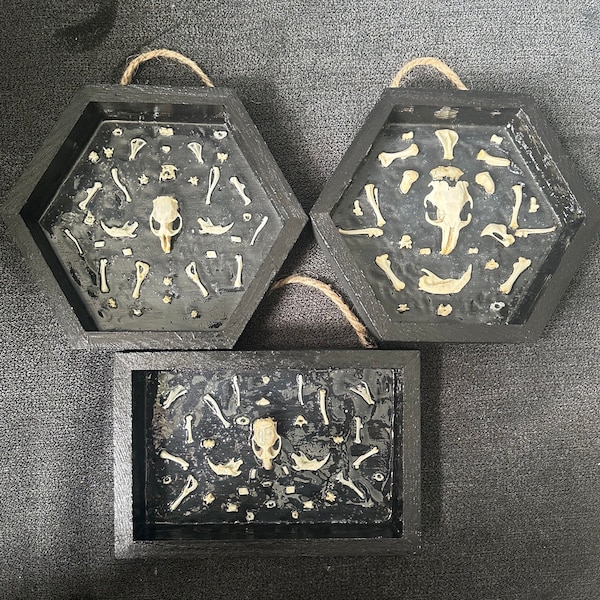 Animal Skeleton - Etsy