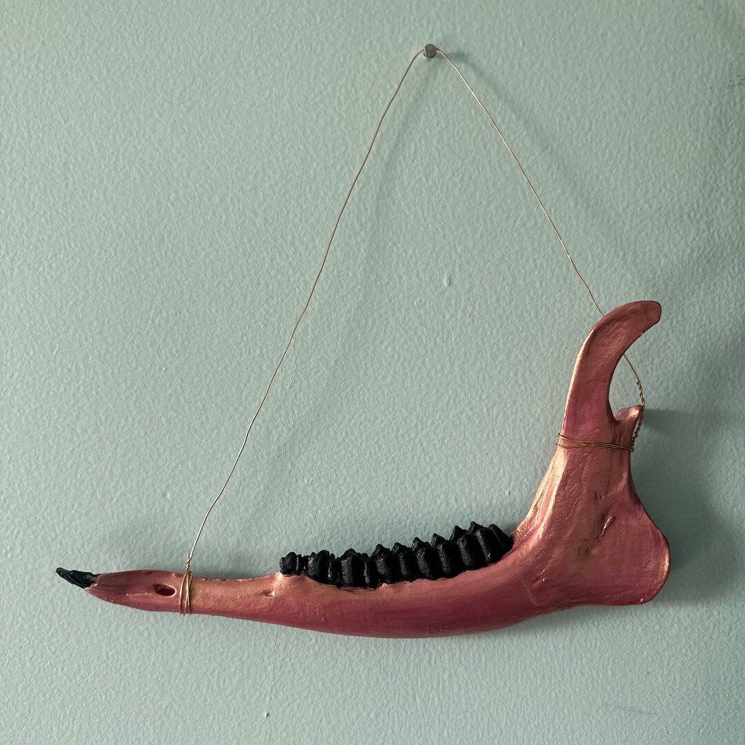 Hand Painted Cow Jaw Wall Art: Gothic Home Decor - Etsy
