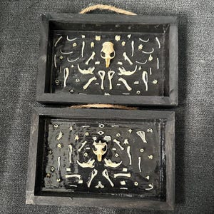 Mouse Skeleton Real Animal Bones Decorative Portrait Mouse Bones Owl ...