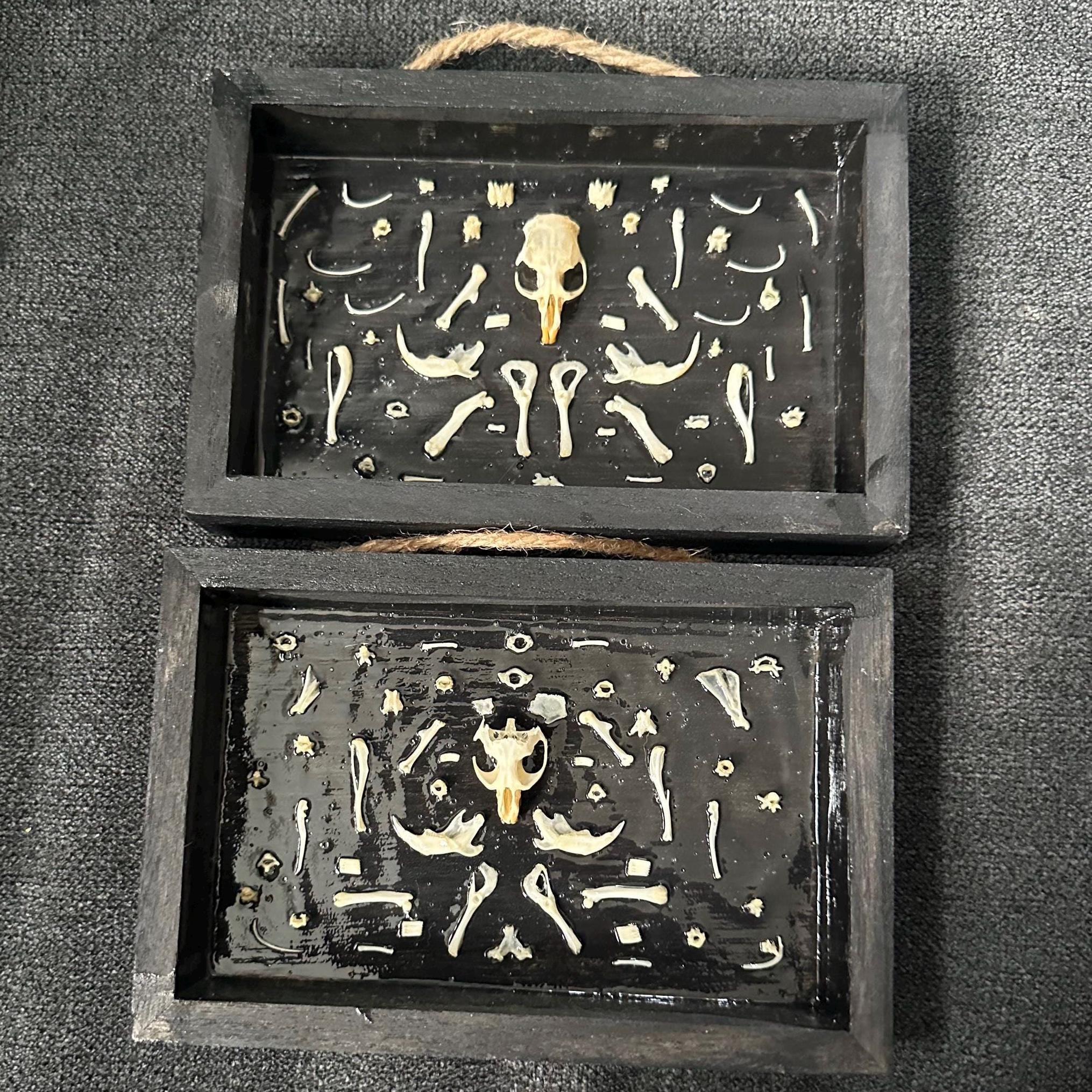 Mouse Skeleton Real Animal Bones Decorative Portrait Mouse Bones Owl ...