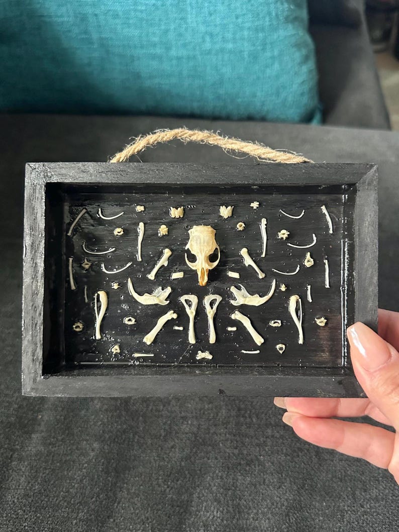 Mouse Skeleton Real Animal Bones Decorative Portrait Mouse Bones Owl Pellets Animal Decor Hand ...