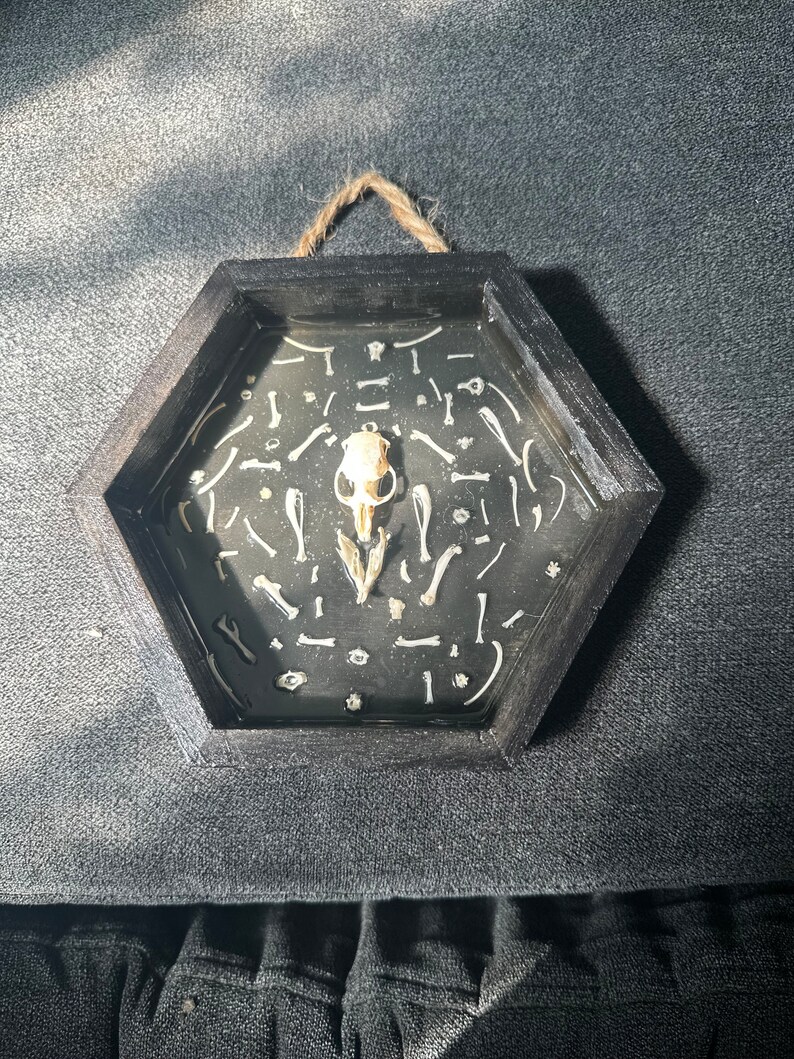 Mouse Skeleton Real Animal Bones Decorative Portrait - Etsy