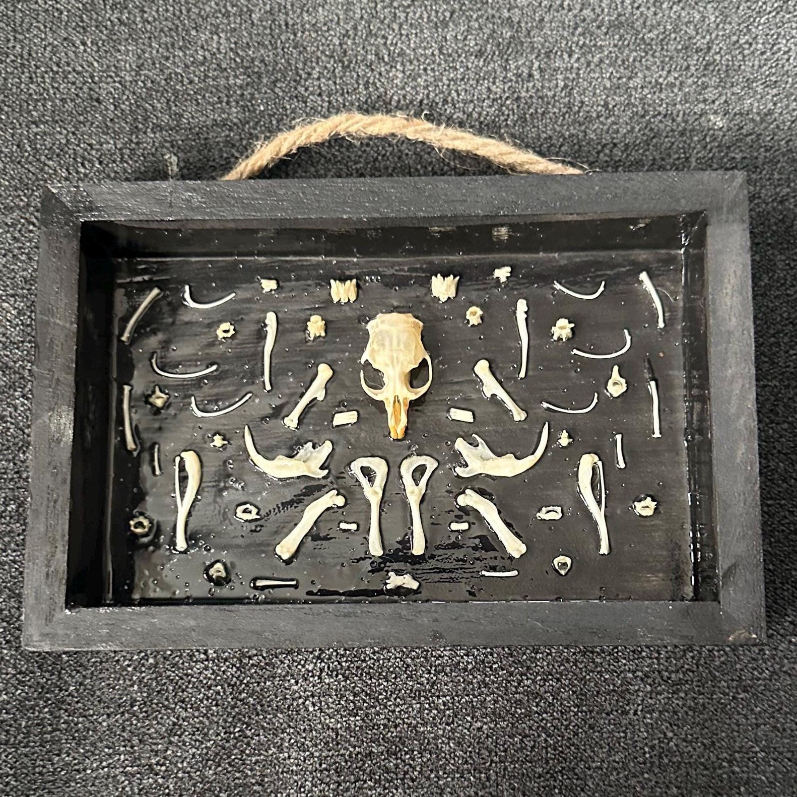 Mouse Skeleton Real Animal Bones Decorative Portrait Mouse Bones Owl ...